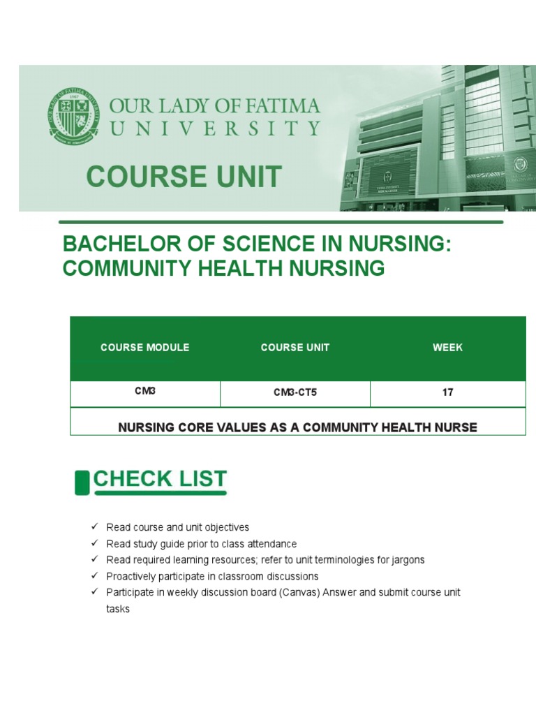 CU Week 16 NURSING CORE VALUES AS A COMMUNITY HEALTH NURSE | PDF ...