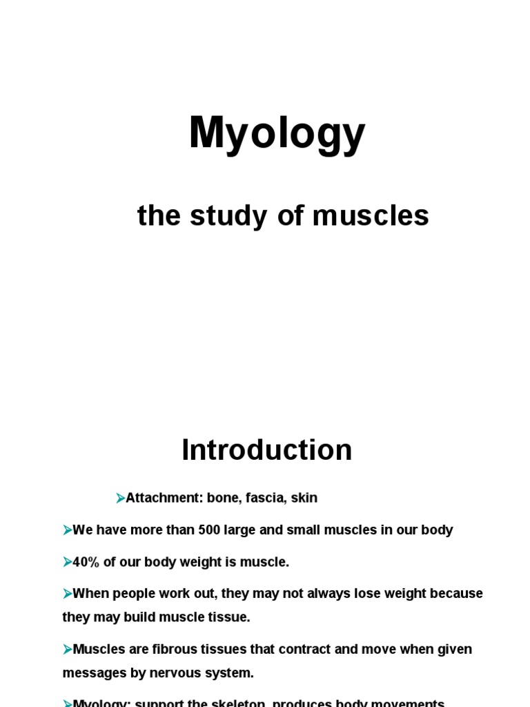 Anat Muscle | PDF | Neck | Thumb