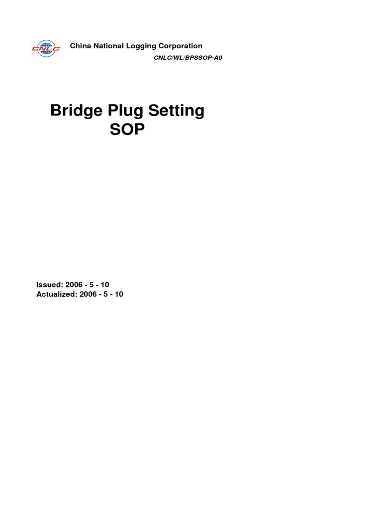 Bridge Plug | PDF | Piston | Electrical Connector