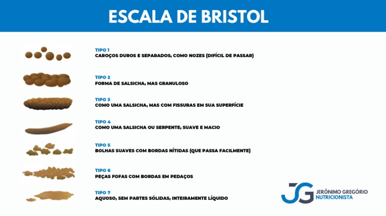 Classificação da Escala de Bristol | PDF