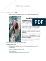Exposicion Tiburones para Preescolar | PDF | Tiburones | Gran tiburón ...