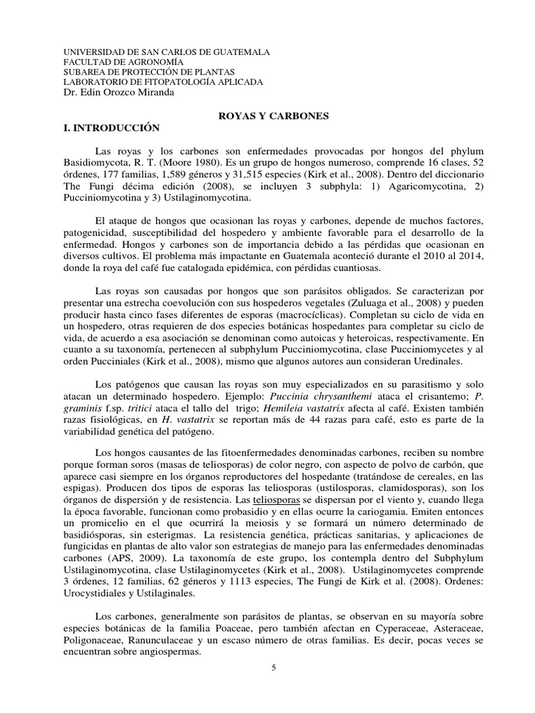 Practica 1. Royas y Carbones | PDF | Hongo | Micología