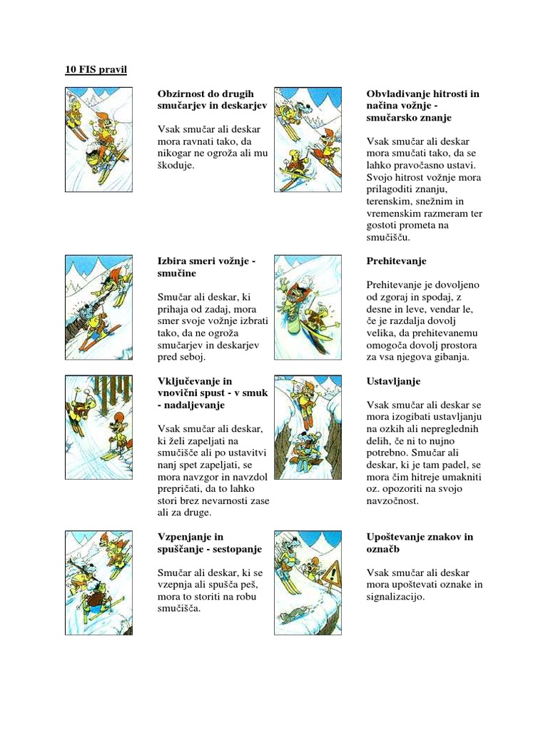 10 Fis Pravila Slike | PDF