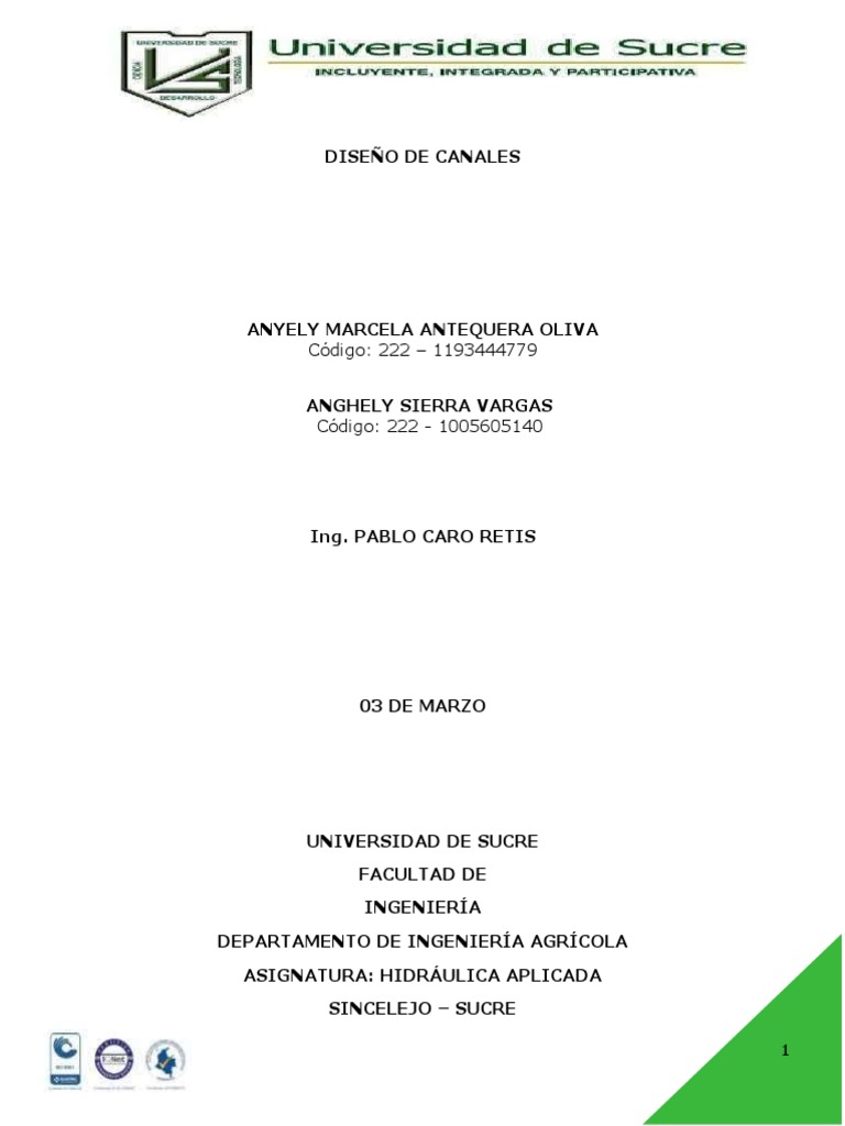 Taller Diseño De Canales Pdf