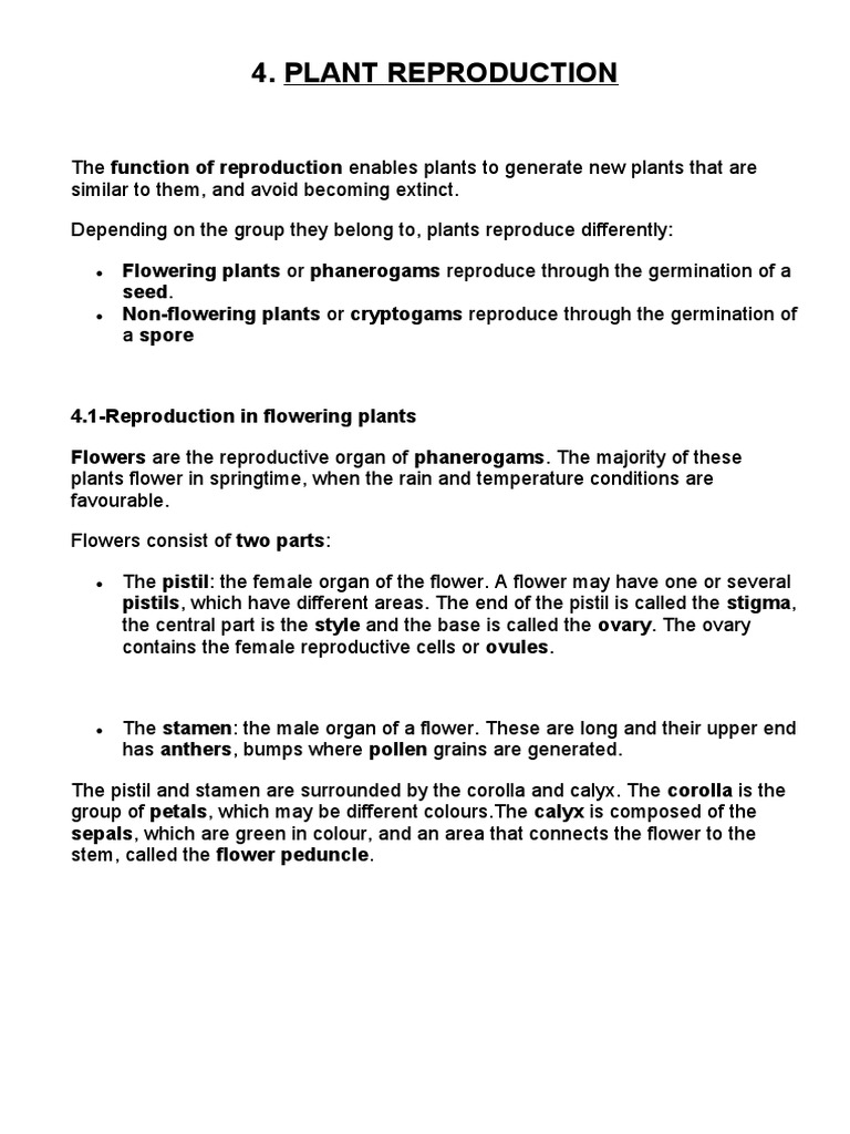 Plant Reproduction 4 1 | PDF | Flowers | Plant Reproduction