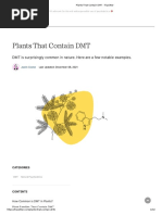 Plants That Contain DMT | PDF | Trees | Plants