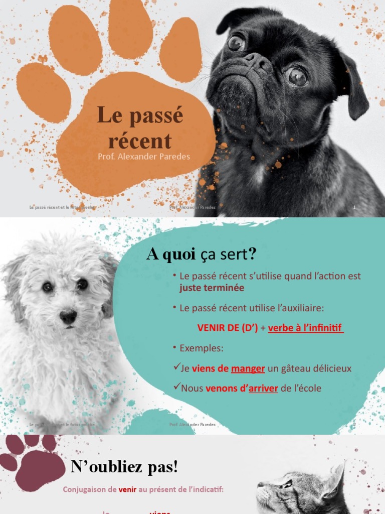 Le Passé Récent Et Le Futur Proche | PDF | Syntaxe | Sciences cognitives