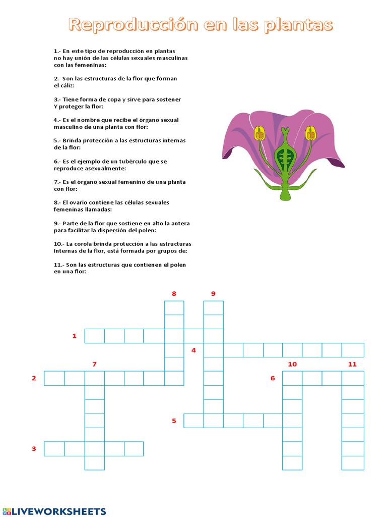 Crucigrama sobre reproducción de plantas | PDF