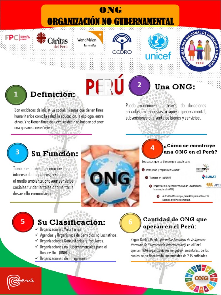 Infografía de La Ong en El Perú - Lorena Romero A. de Tang | PDF