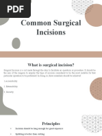 Type of Incisions | PDF | Abdomen | Wound
