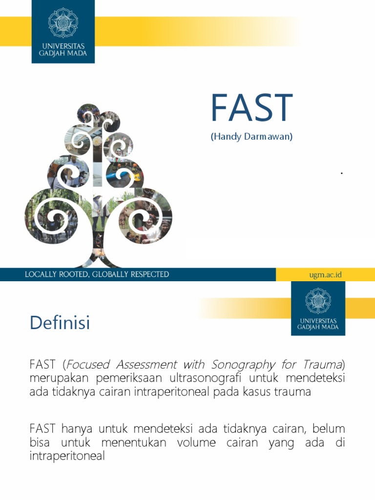 Cara Membaca USG FAST Abdomen | PDF