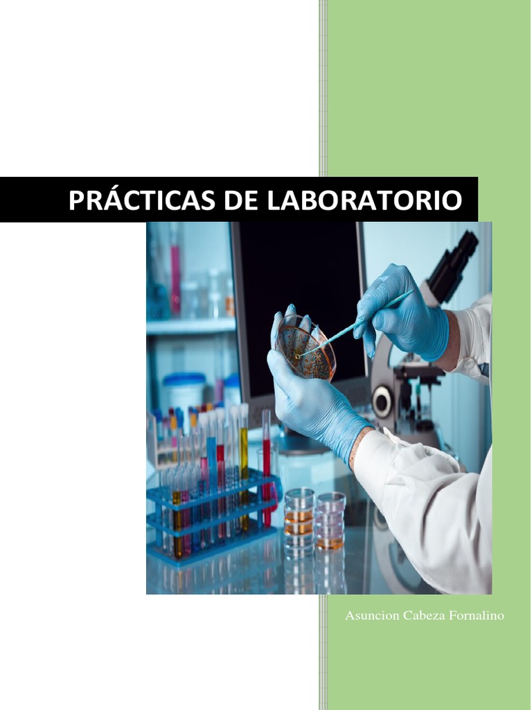 Practicas de Laboratorio Definitiva | PDF | Carbohidratos | Proteínas