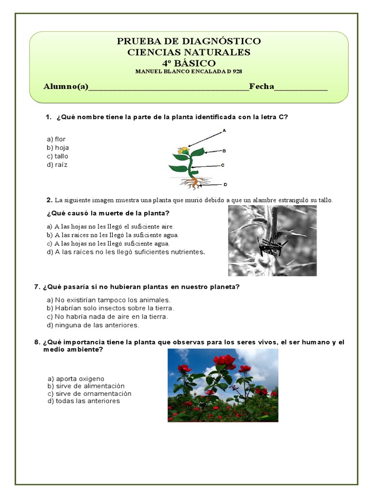 Prueba de Diagnóstico de Ciencias | PDF | Tierra | Luna