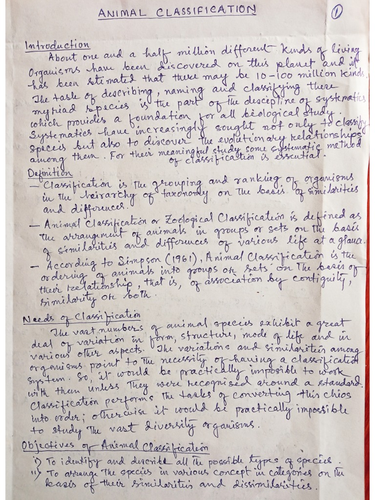 Animal Classification | PDF