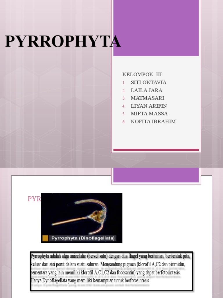 Ciri dan Manfaat Pyrrophyta | PDF