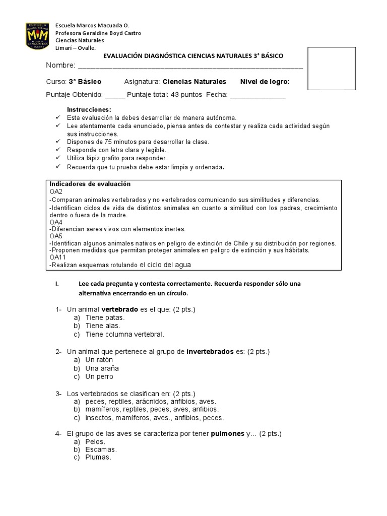 Evaluación Diagnóstica Ciencias 3° Básico | PDF | Pollo | Vertebrados