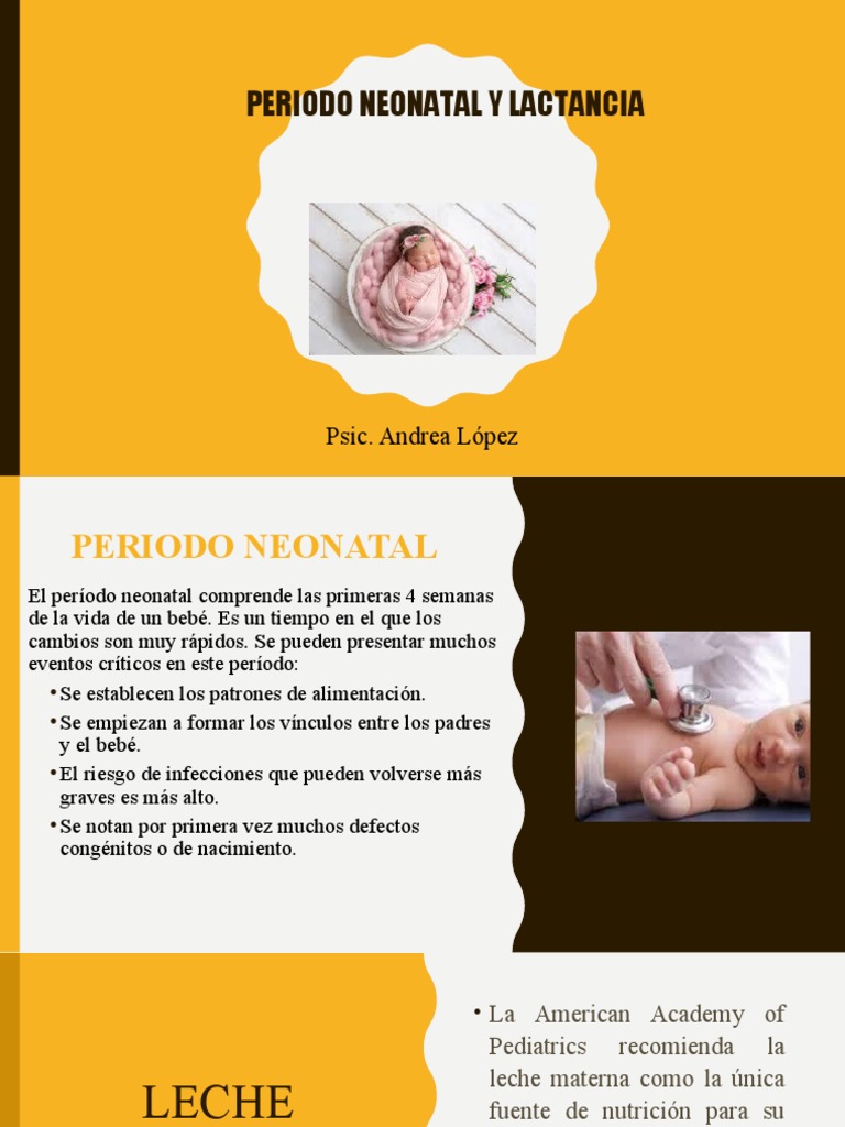 Periodo Neonatal y Lactancia Según Diferentes Autores | PDF | Teoría de ...