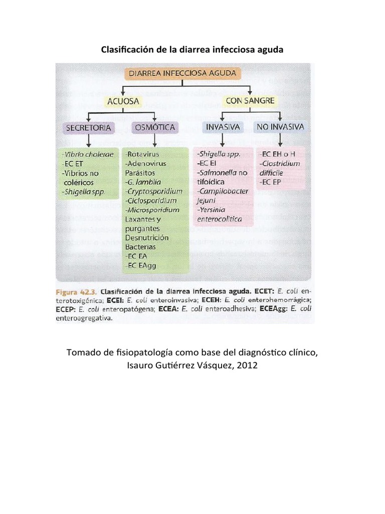 Clasificación de La Diarrea Infecciosa Aguda | PDF | Ciencia y matemáticas