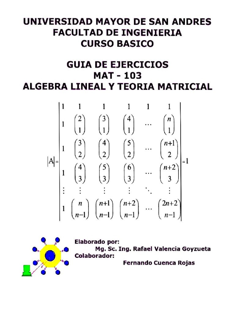 Guía Ejercicios - Mat 103 Algebra Lineal y Teoría Matricial | PDF