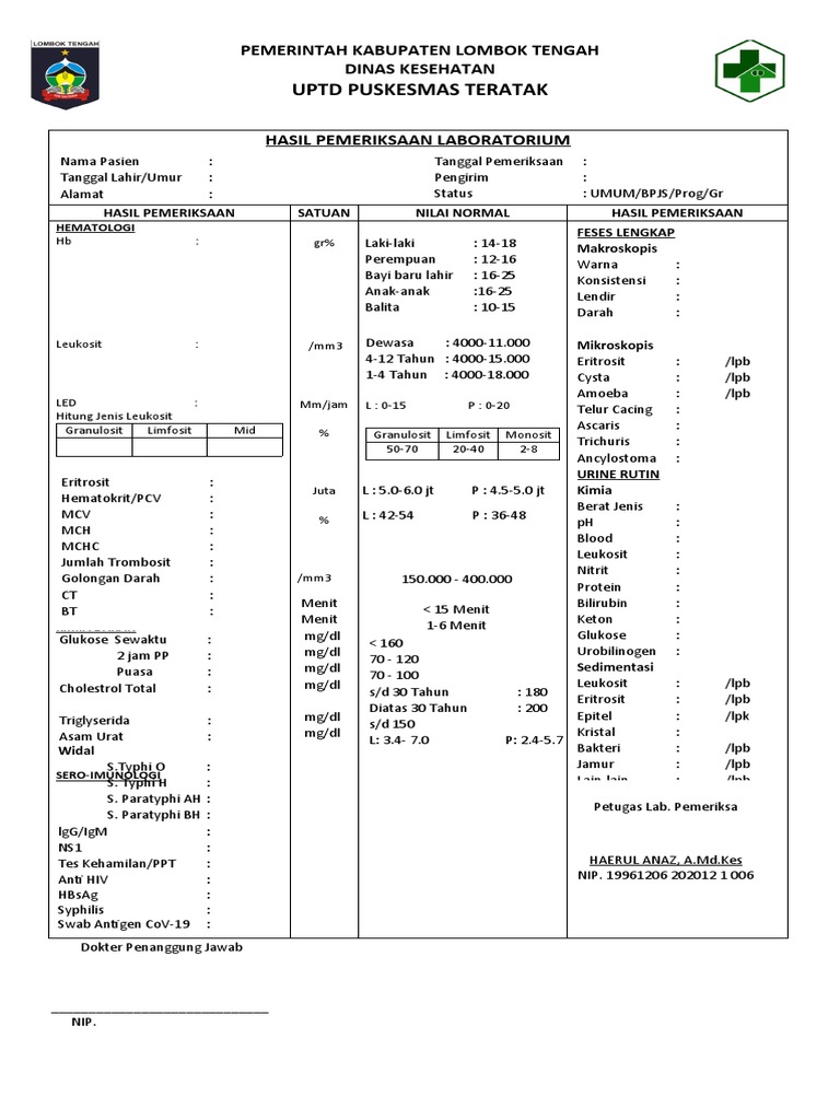 Format Laboratorium | PDF