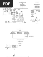IVF Color Coding | PDF