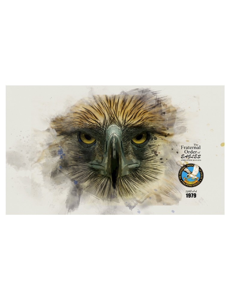 Ocular Vision of Eagle | PDF