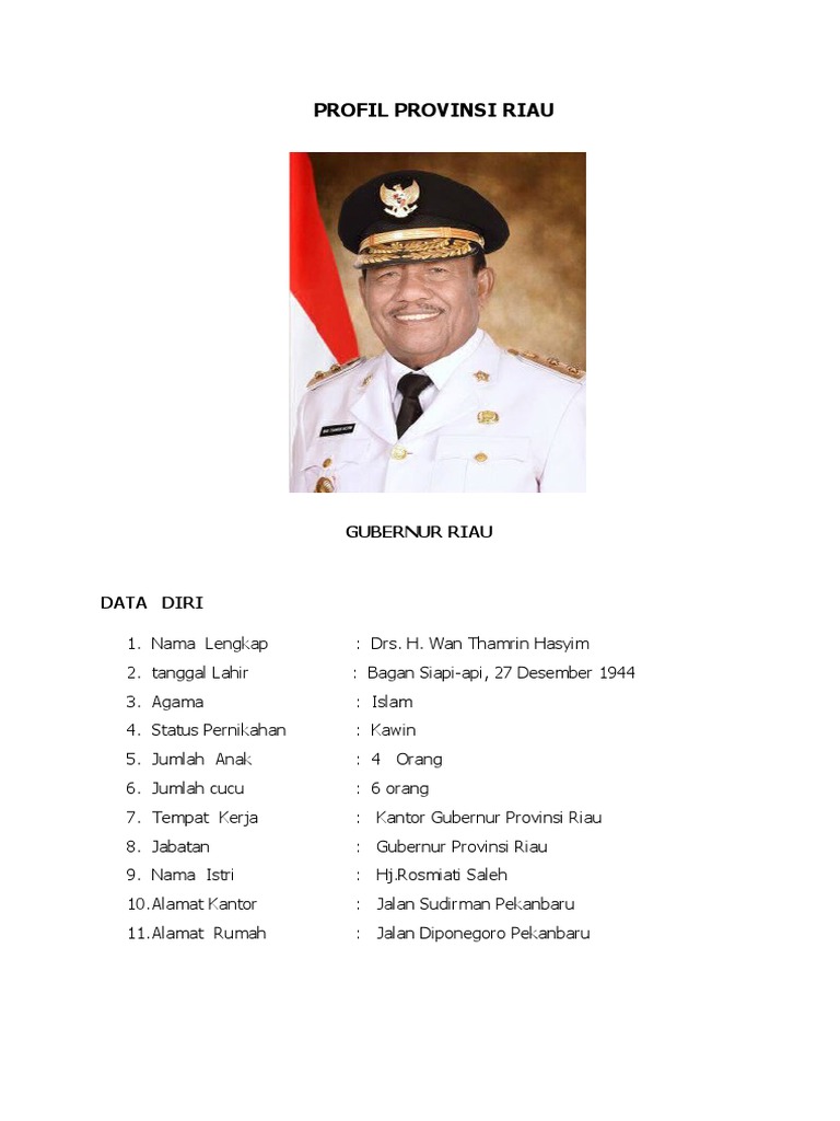 2019 Profil Paar PKK Prov. Riau | PDF