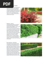 Joachim Mayer-Cvijece Za Balkone I Terase | PDF