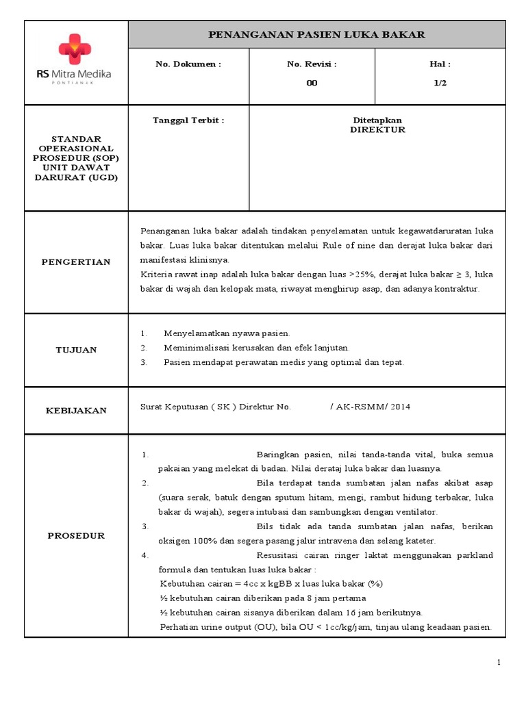 Penanganan Luka Bakar | PDF