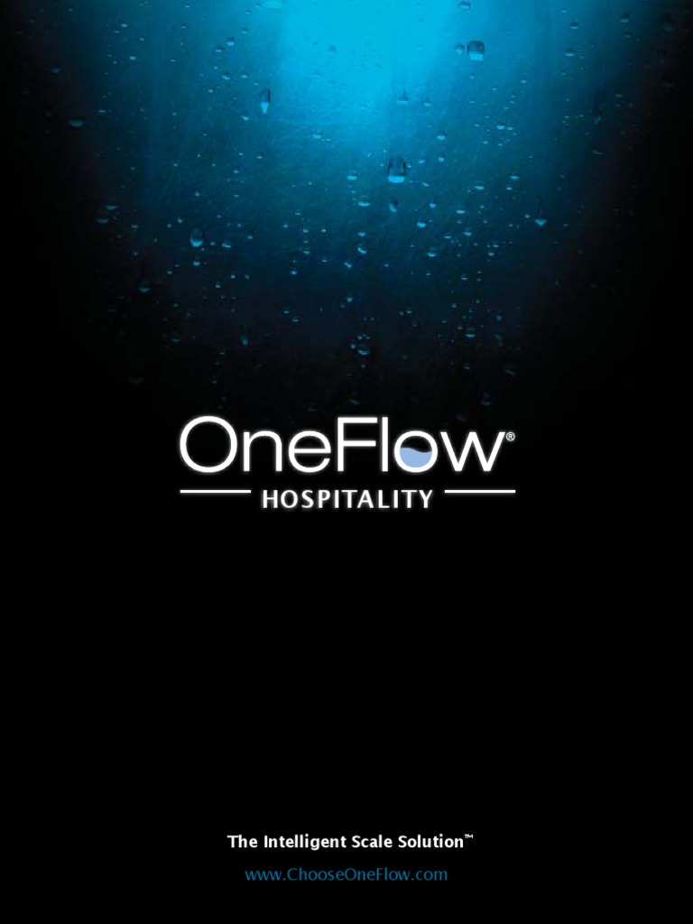 One Flow Anti Scale Solution | PDF | Water | Sodium Chloride