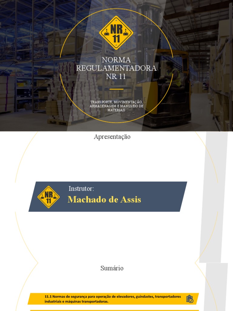 NR11 - Treinamento - Norma Regulamentadora - 2022 | PDF | Armazém ...