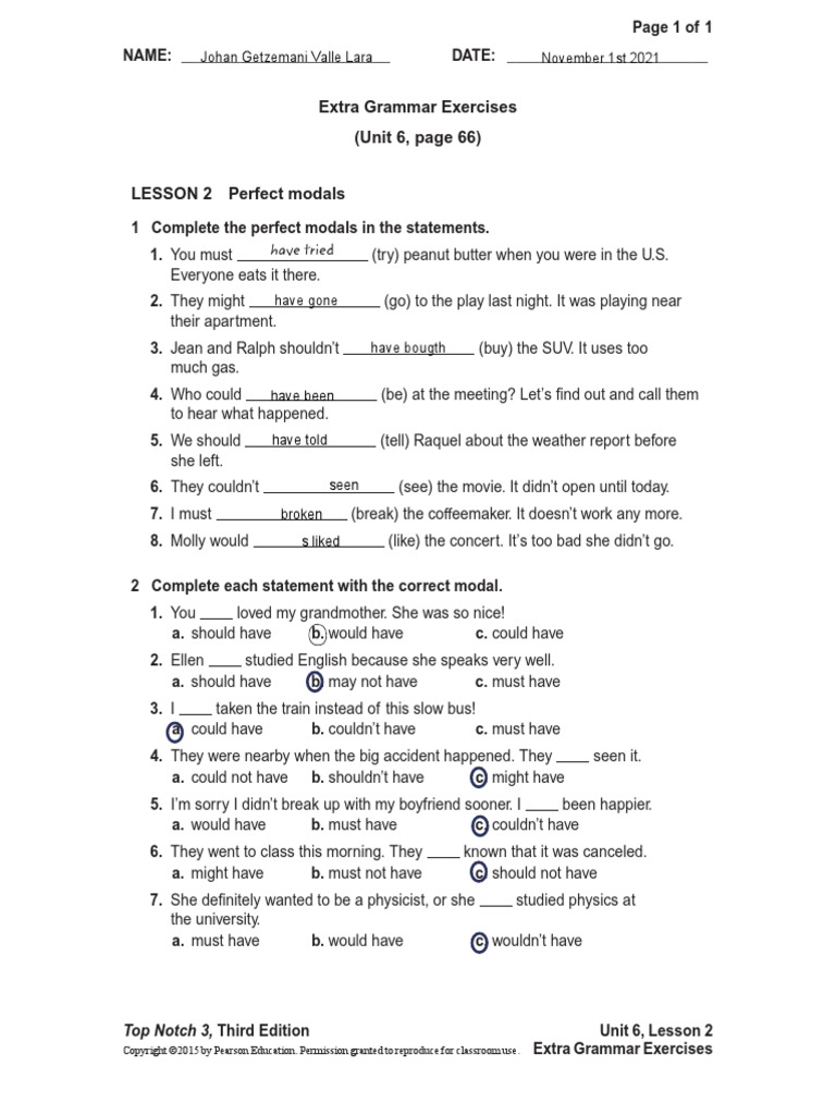 Past Modals Exercise | PDF