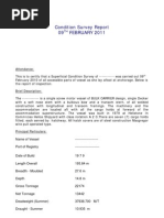 Container Damage Report | PDF | Nature