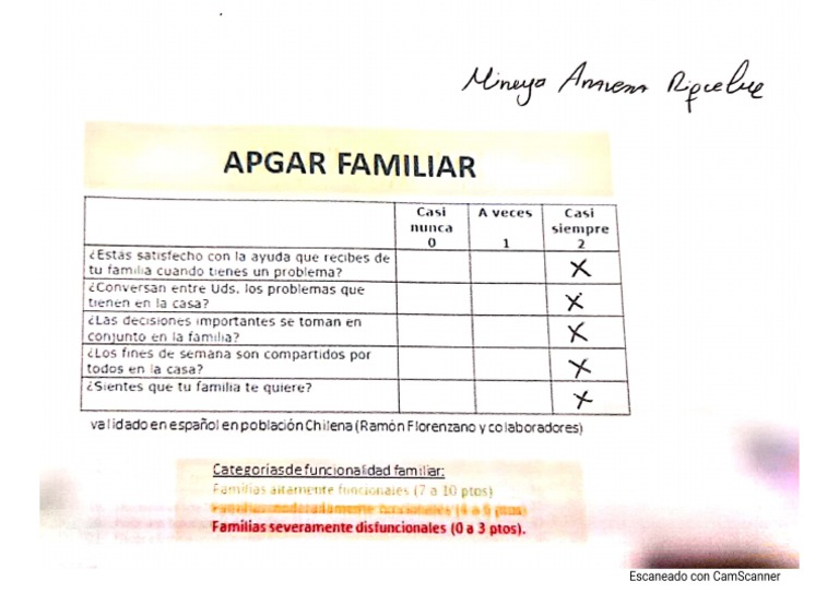 Apgar Familiar | PDF