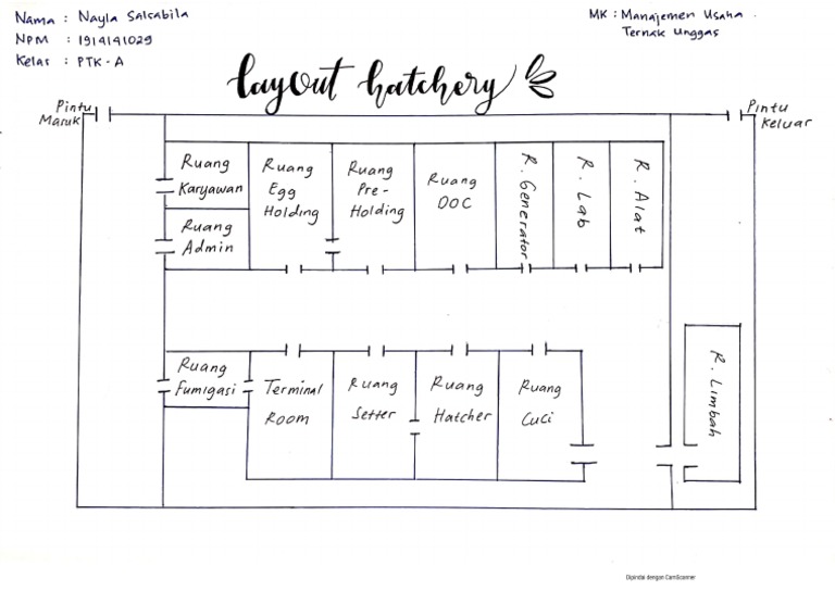 LAYOUT HATCHERY | PDF