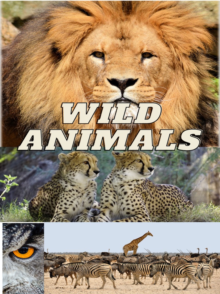 Wild Animals | PDF