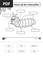 Parts of A Caterpillar | PDF