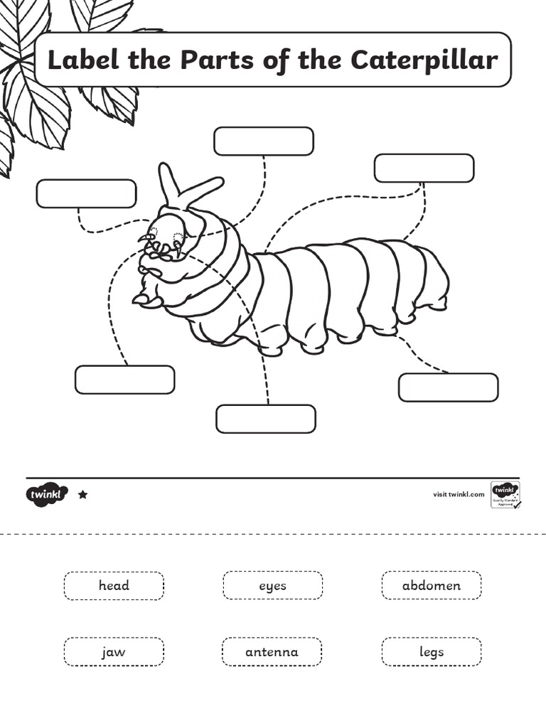 T TP 7614 Label The Parts of A Caterpillar Activity Sheet - Ver - 1 | PDF