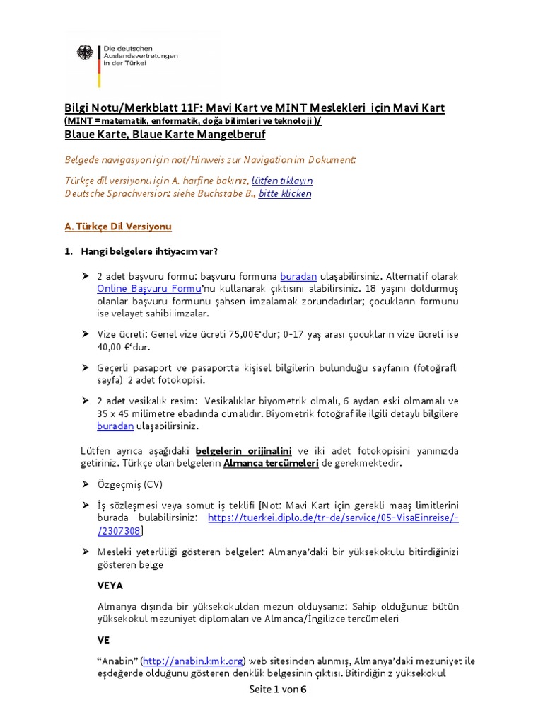 Blaue Karte, Blaue Karte Mangelberuf | PDF