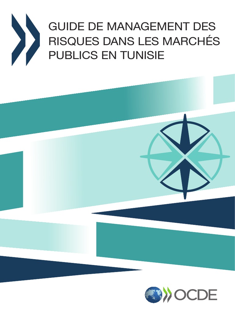 Guide de Management Des Risques Dans Les Marchés Publics | PDF | Risque ...
