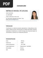 Curriculum Vitae Practicante Senati | PDF