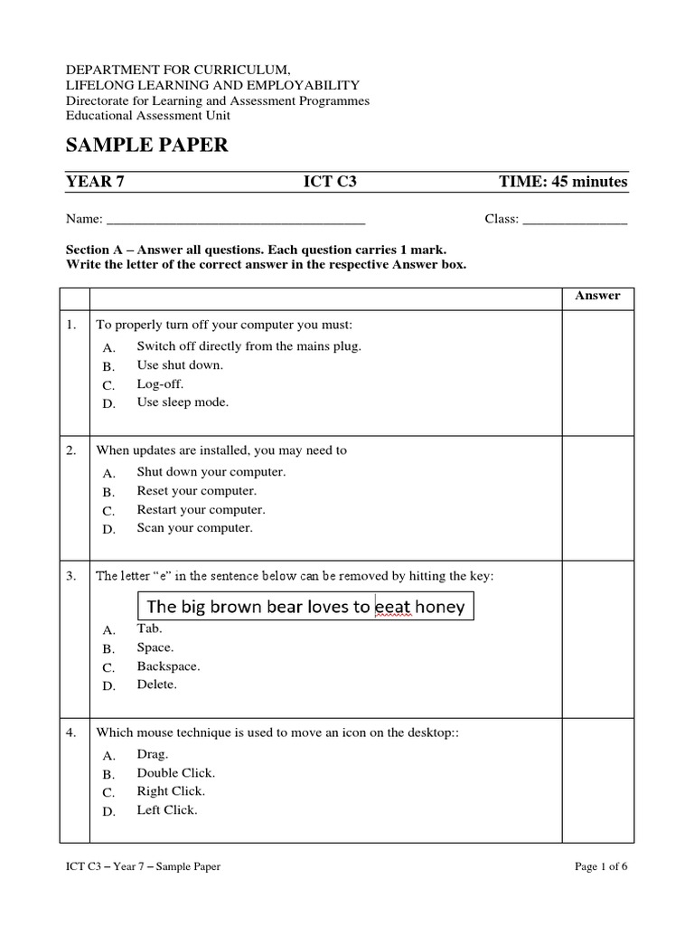 sample_yr07_ict_c3_2019 | PDF | Printer (Computing) | Websites