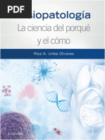 Guía de Reparos Anatómicos Óseos | PDF