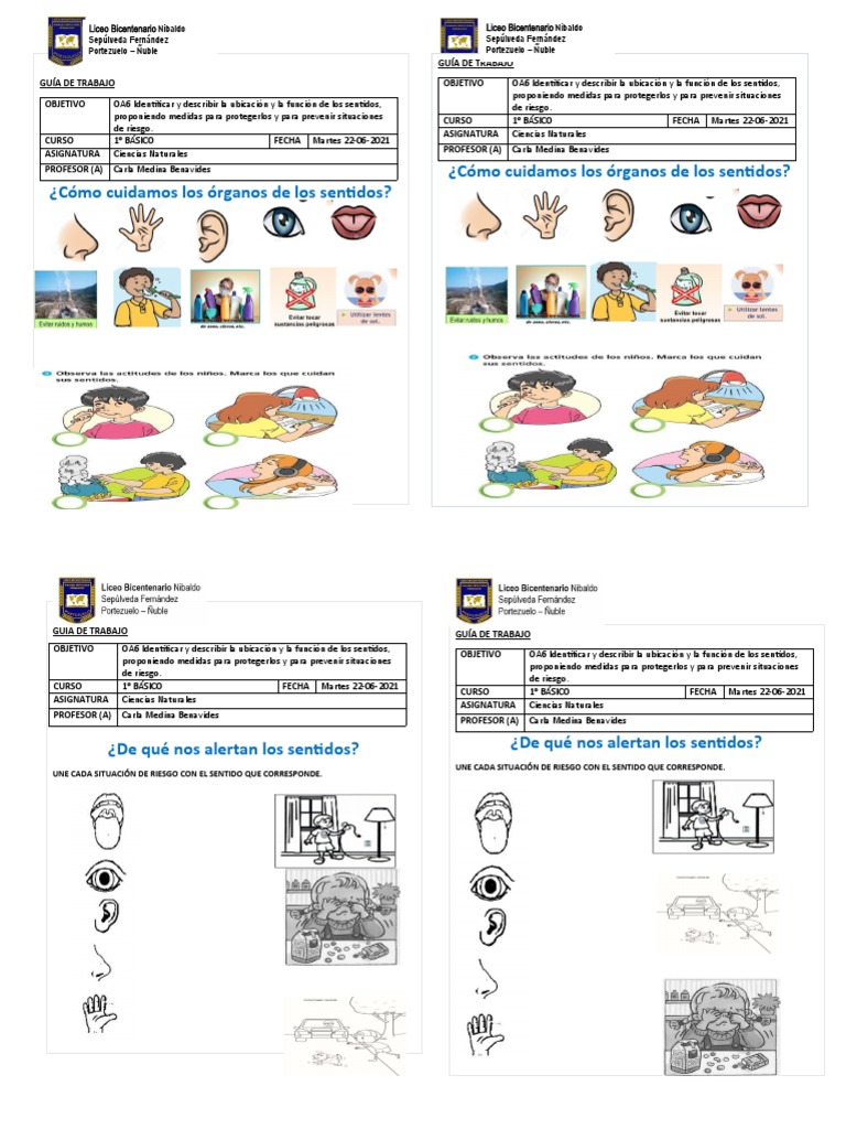 Cuidado de los Órganos de los Sentidos | PDF