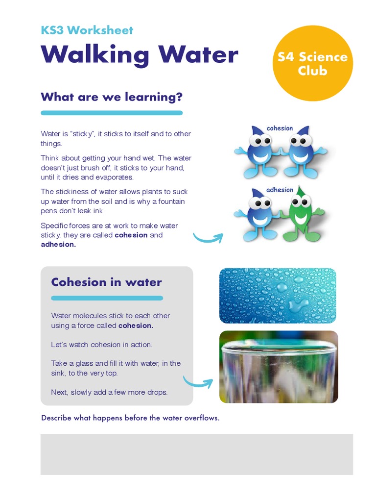 F KS3 Walking Water Worksheet | PDF | Adhesion | Surface Tension
