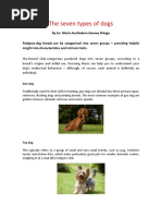 PocketPup ShihTzuCrochetPattern | PDF | Animals And Humans | Mammal Breeds