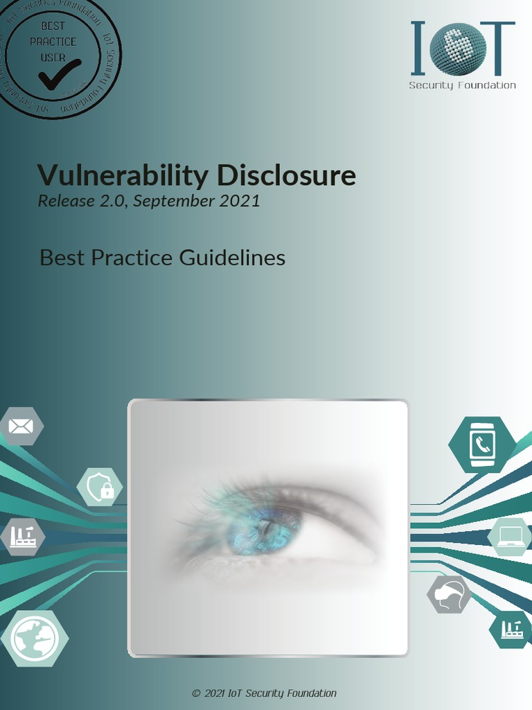 Vulnerability Disclosure: Best Practice Guidelines | PDF ...