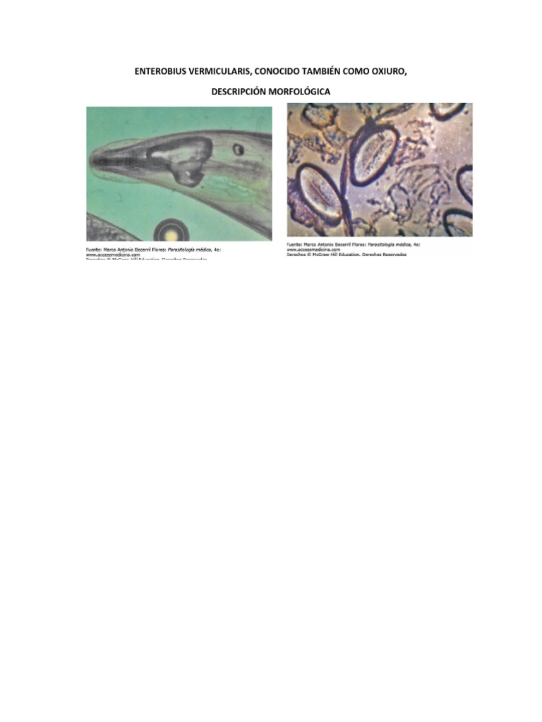 OXIUROS | PDF | Ciencias de la Salud | Medicina CLINICA