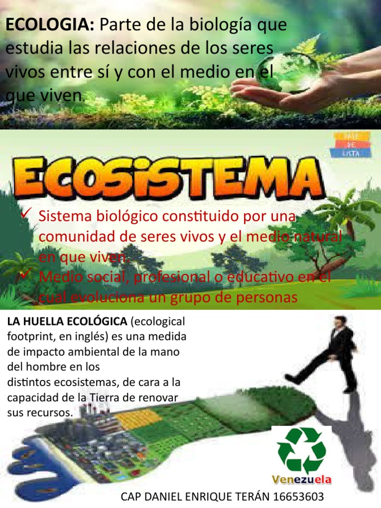 Infografia Sobre Ecosistema | PDF