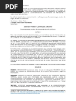 s9 La Capacidad Definición, Capacidad de Goce y Ejercicio | PDF ...